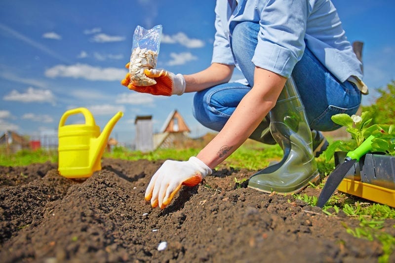 How to Reduce Injuries While Gardening | Spine & Orthopedic Center